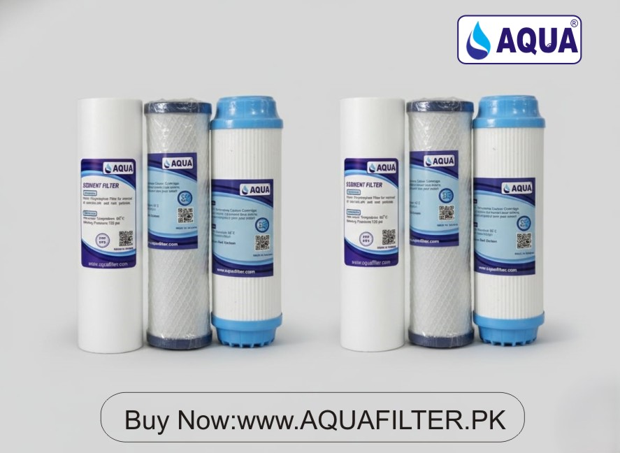 Aqua Water Filter Replacement Set – 2 PPF + 2 CTO + 2 GAC (6 Pieces ...